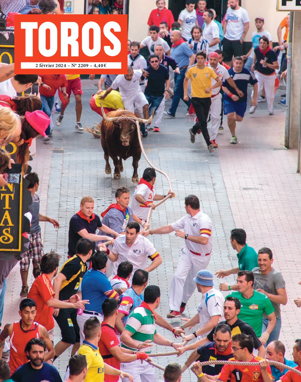 El Toro Enmaromado de Benavente portada de la revista TOROS - Toro ...